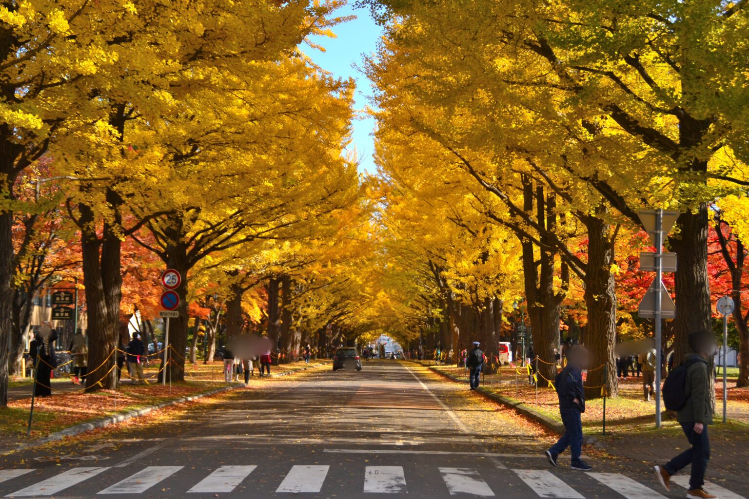 【2024】10月・11月に札幌で開催されるおすすめイベント特集 | Kitaiko