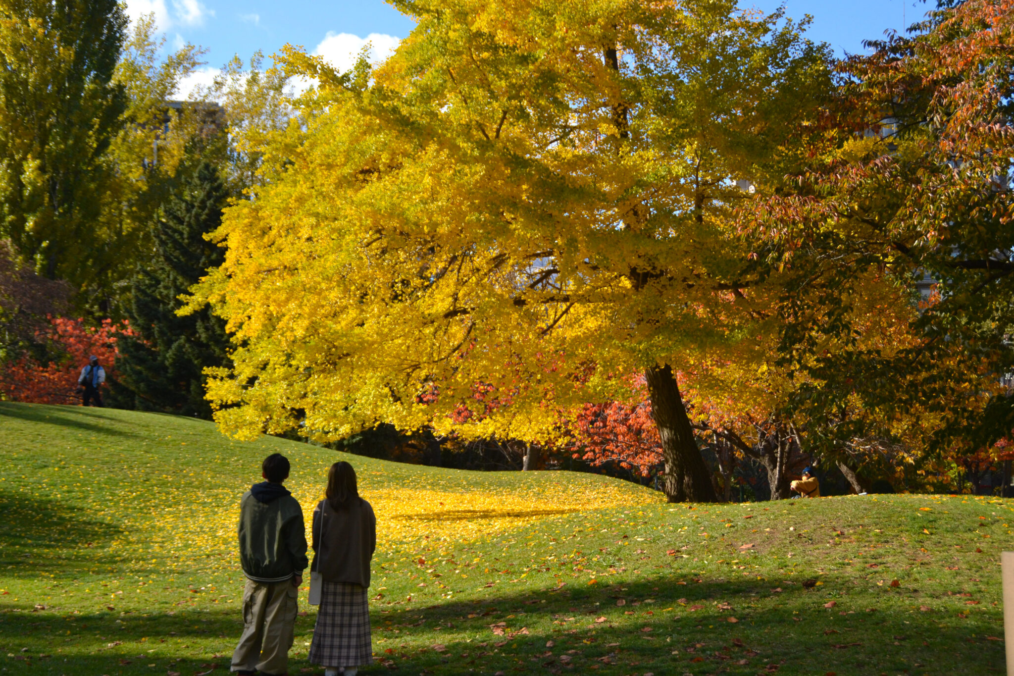 10月の北海道旅行｜気温や積雪は？おすすめの服装や観光スポットは？ | Kitaiko