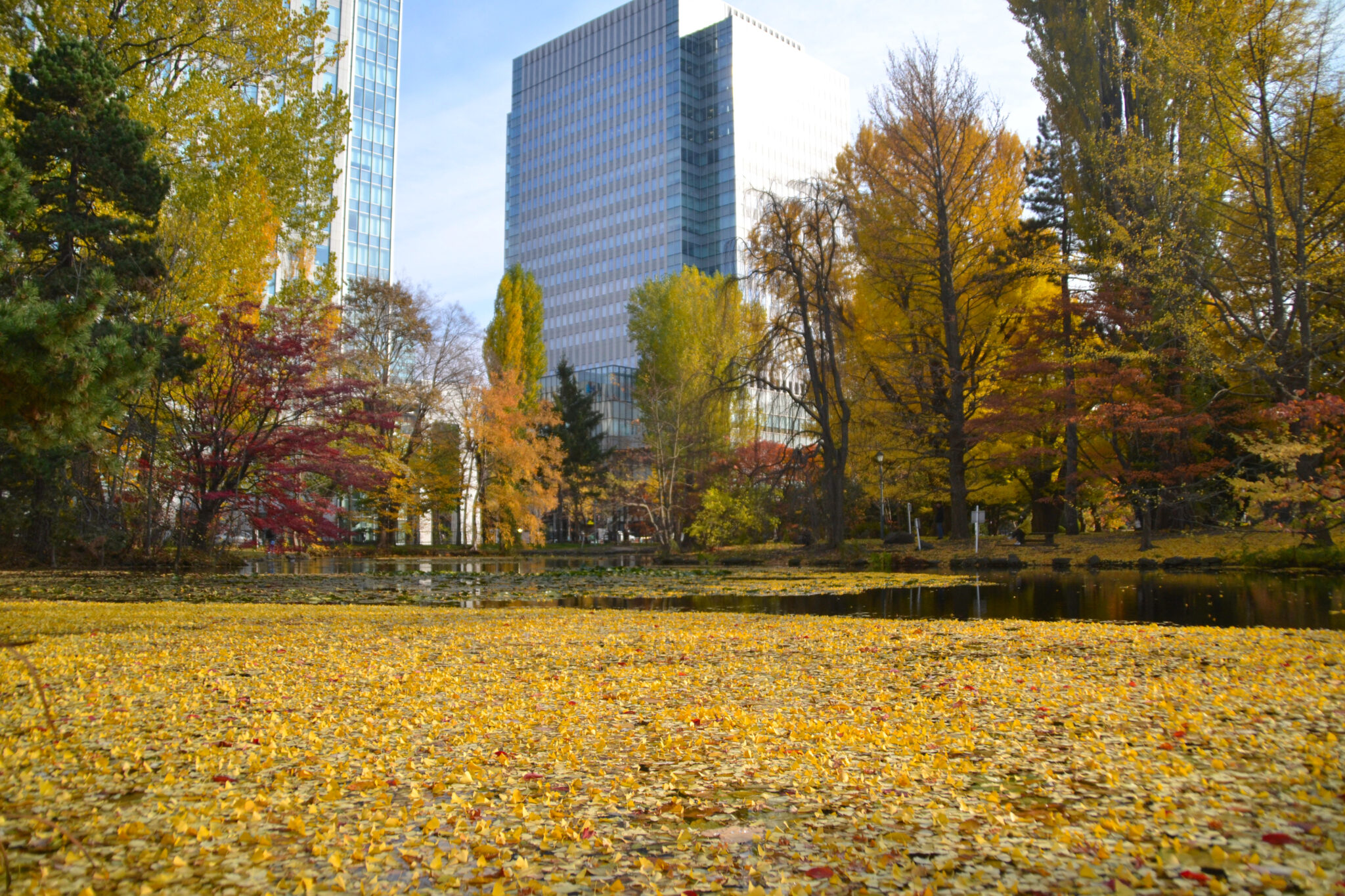 札幌の無料で楽しめるおすすめ観光スポット・施設を紹介【11選】 | Kitaiko