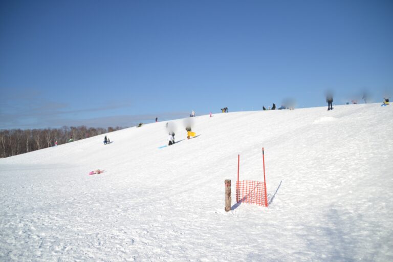ソリ遊びが無料で楽しめる札幌のおすすめ公園7選｜利用も駐車場も全てタダ | Kitaiko