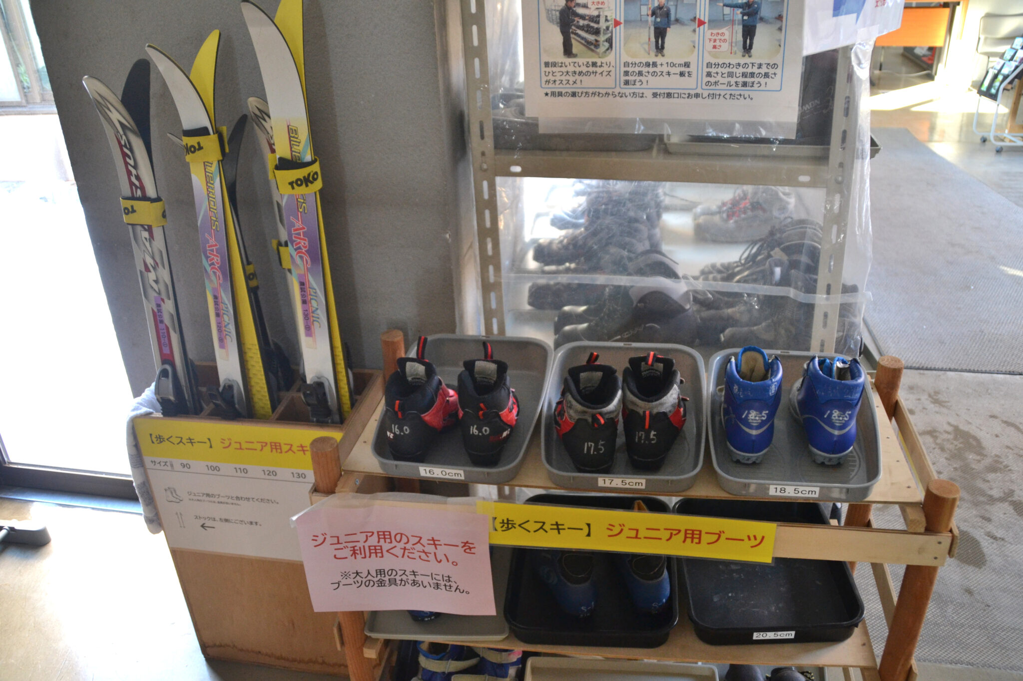 【2025年/札幌】農試公園の歩くスキー（クロスカントリー）コースや冬のソリ遊び始まりました | Kitaiko