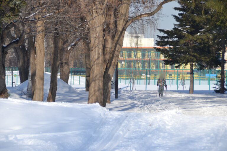 【2025年/札幌】農試公園の歩くスキー（クロスカントリー）コースや冬のソリ遊び始まりました | Kitaiko