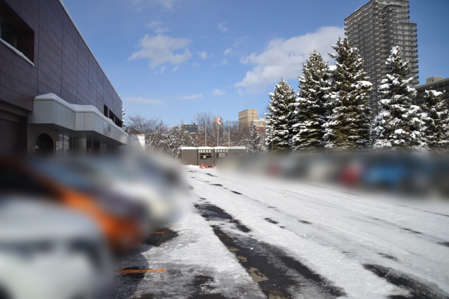 【2025/札幌】中島公園で歩くスキー（クロスカントリー）をしてみよう｜道具の貸出も無料！ | Kitaiko