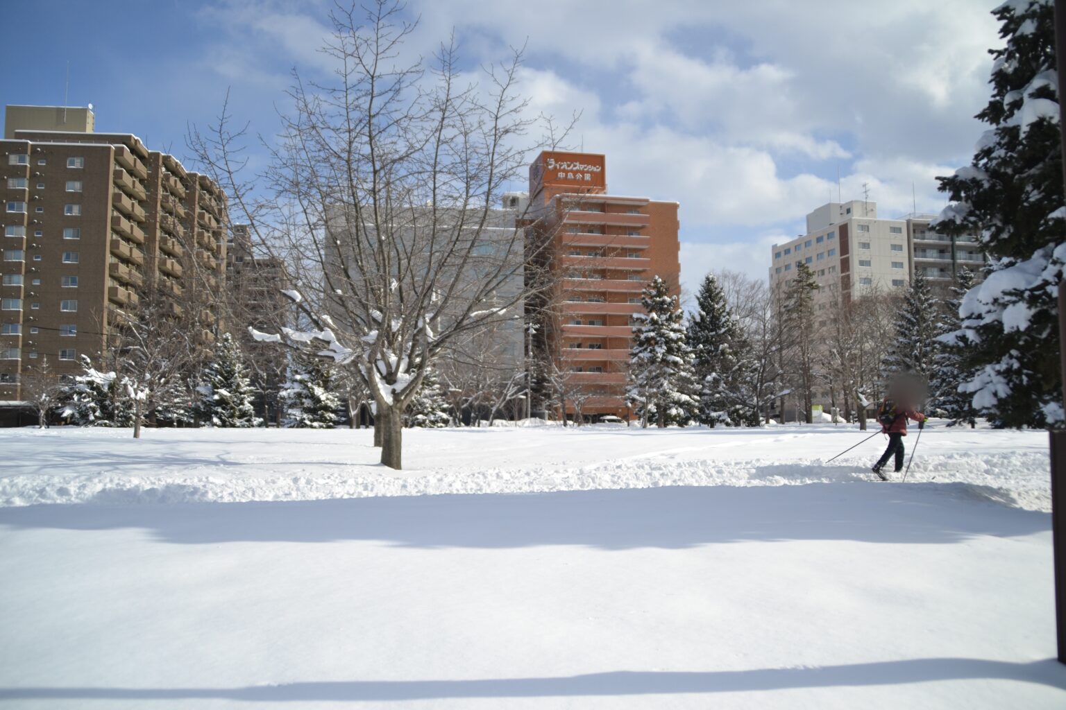 【2025/札幌】中島公園で歩くスキー（クロスカントリー）をしてみよう｜道具の貸出も無料！ | Kitaiko