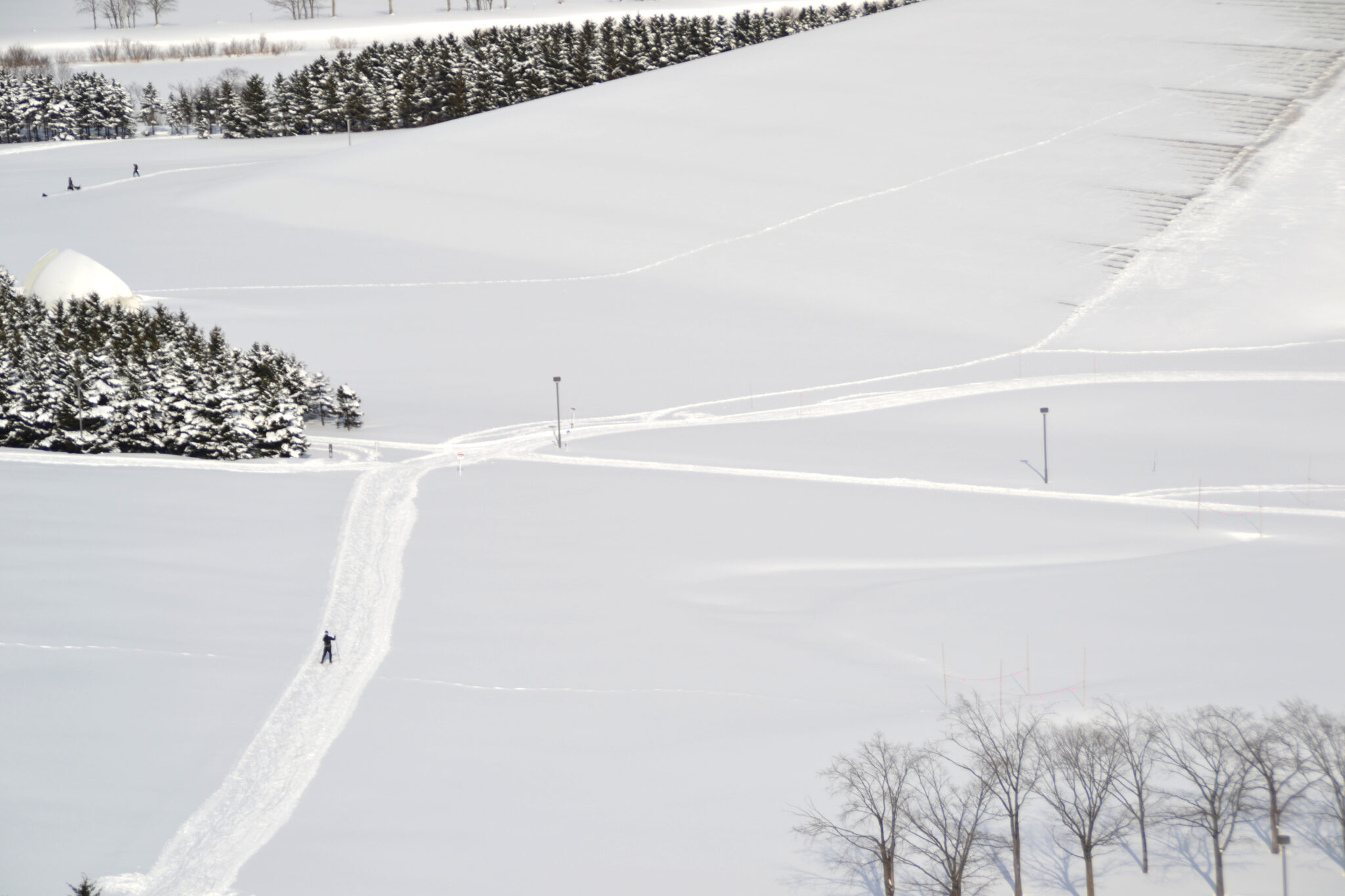 【2025年/札幌】冬のモエレ沼公園はソリ遊びや歩くスキー（クロスカントリー）の最強スポットでした！ | Kitaiko