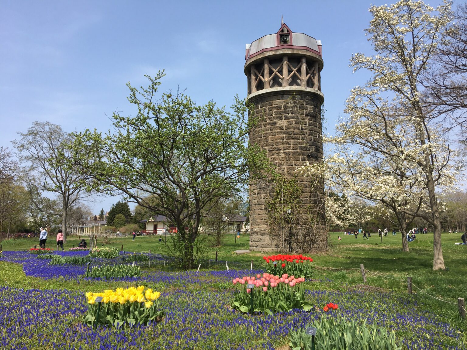 札幌でピクニックにおすすめの公園・スポット17選｜簡易テントが使えるのはどこ？ | Kitaiko