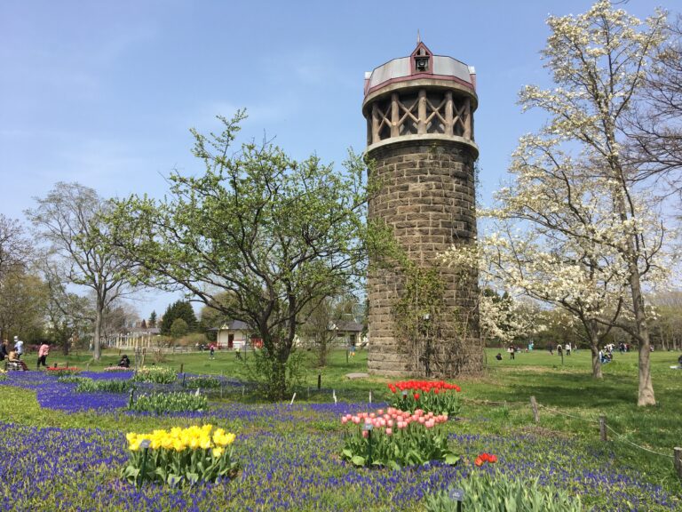 北海道の絶景お花畑を紹介【14選】 | Kitaiko