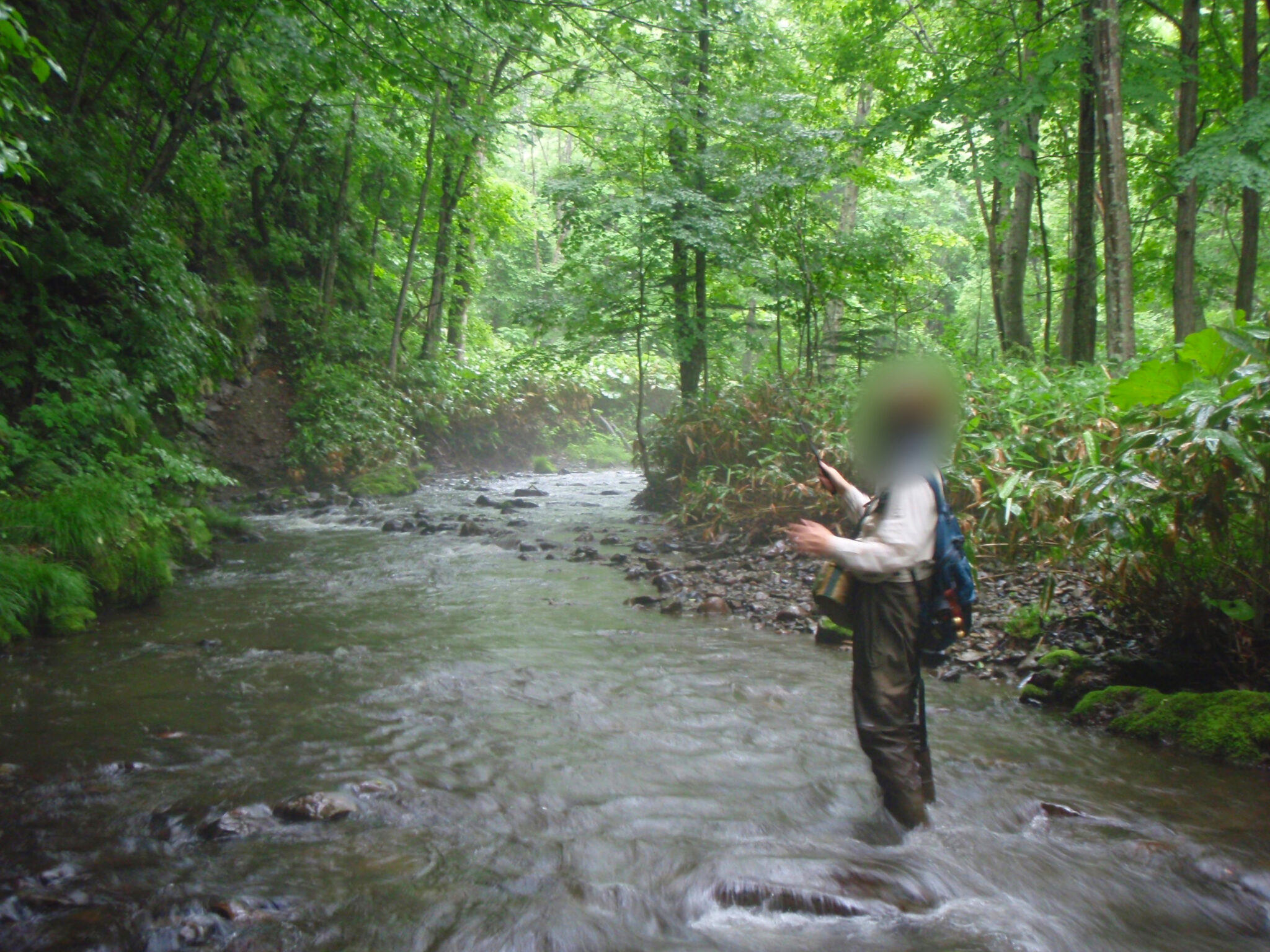 名寄ってどんなまち？観光スポットやイベント、四季の風景を写真満載で紹介 | Kitaiko