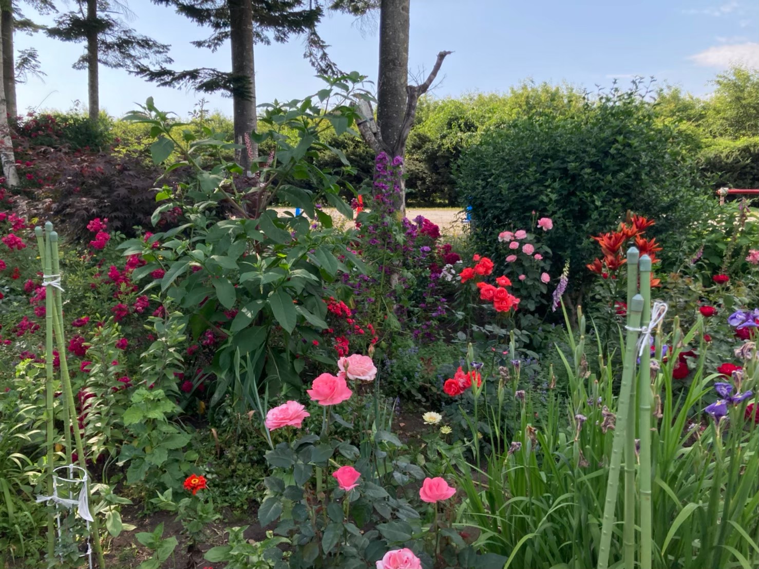 【キッチンファームヤード/由仁町】野菜が抜群に美味しいカレースープがいただける農家レストラン | Kitaiko
