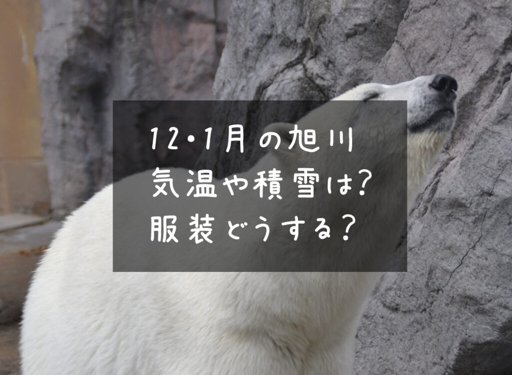 12月から1月の旭川旅行｜気温や積雪は？おすすめの服装は？ | Kitaiko