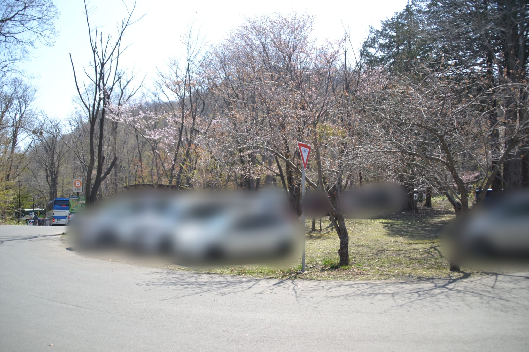 【2025/札幌】北海道神宮で桜や梅のお花見｜屋台の出店や混雑状況は？駐車場や見頃は？ | Kitaiko