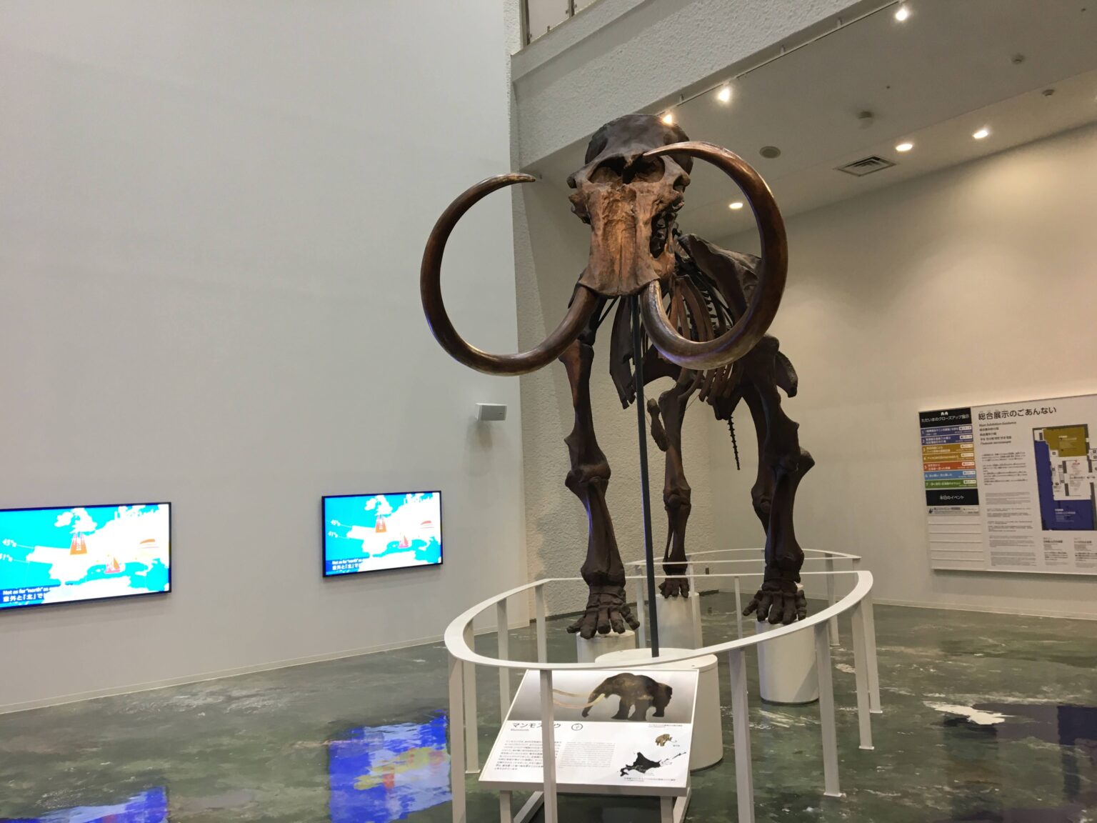 【札幌】雨や雪の日でも子連れで楽しめる遊び場・スポット特集【おすすめ21選】 | Kitaiko