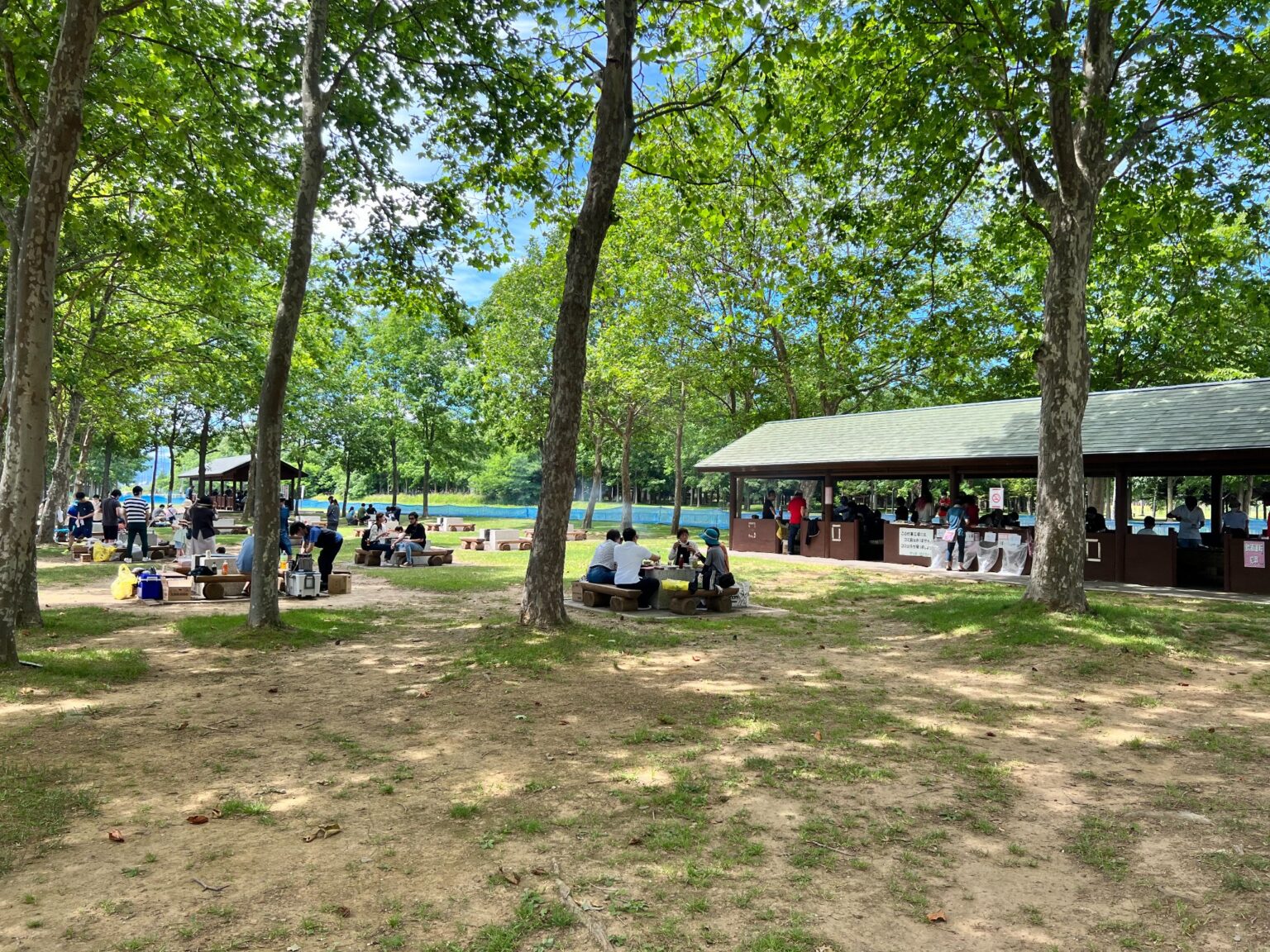 【2025】札幌のおすすめバーベキュー場｜手ぶらBBQや無料で楽しめるスポット16選 | Kitaiko