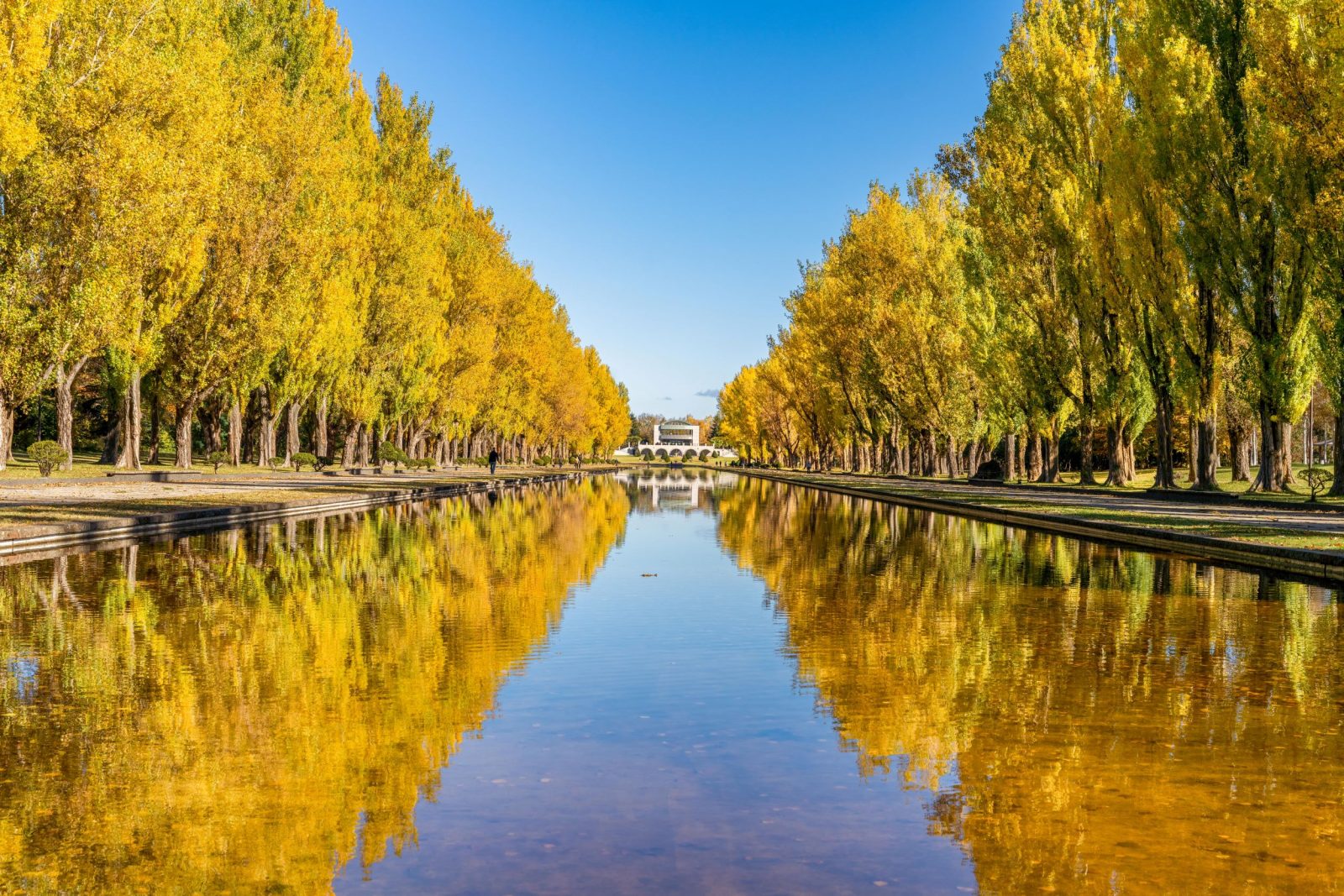 【2025/札幌】無料で楽しめる前田森林公園のBBQバーベキュー｜コンロのレンタルは？ | Kitaiko