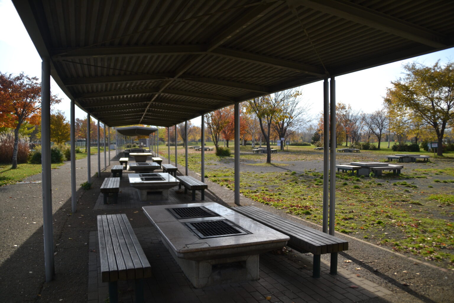 【2025/札幌】無料で楽しめる前田森林公園のBBQバーベキュー｜コンロのレンタルは？ | Kitaiko