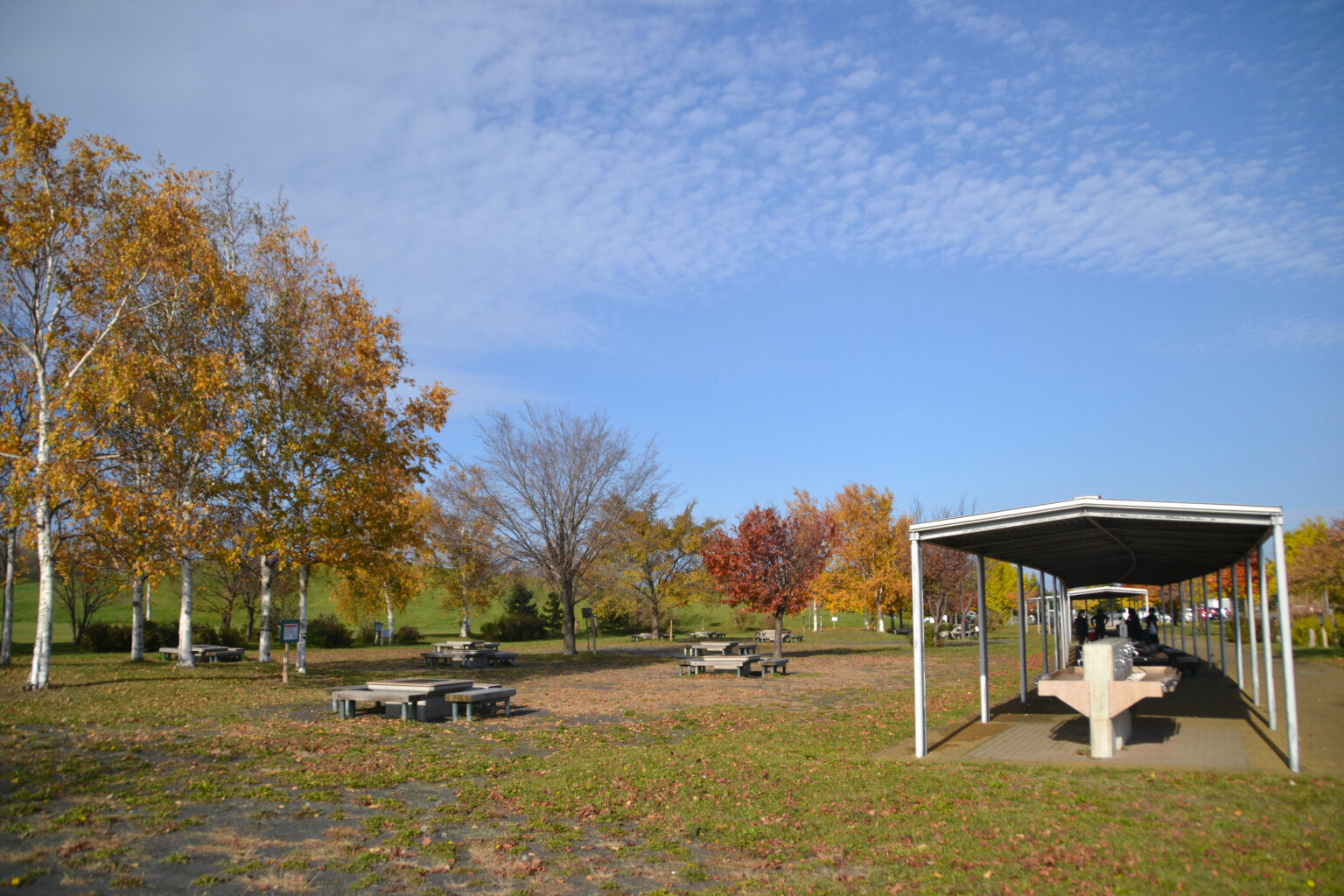 【2025】札幌のおすすめバーベキュー場｜手ぶらBBQや無料で楽しめるスポット16選 | Kitaiko