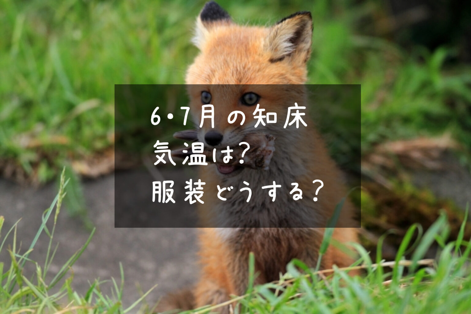 6月から7月の知床旅行｜気温やおすすめの服装は？ | Kitaiko