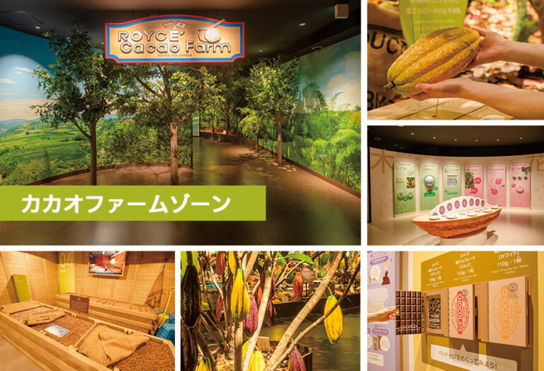 【ROYCE’の工場見学】ロイズカカオ＆チョコレートタウンがグランドオープン！ | Kitaiko