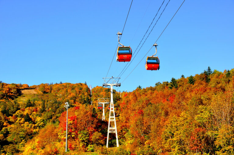 【2024】10月・11月に札幌で開催されるおすすめイベント特集 | Kitaiko