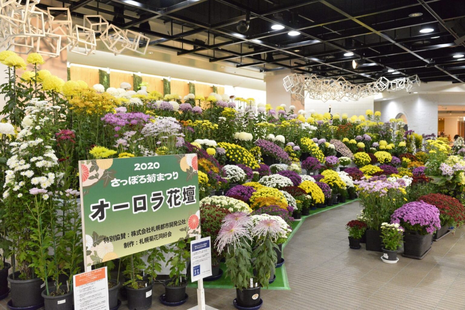 【2024】10月・11月に札幌で開催されるおすすめイベント特集 | Kitaiko