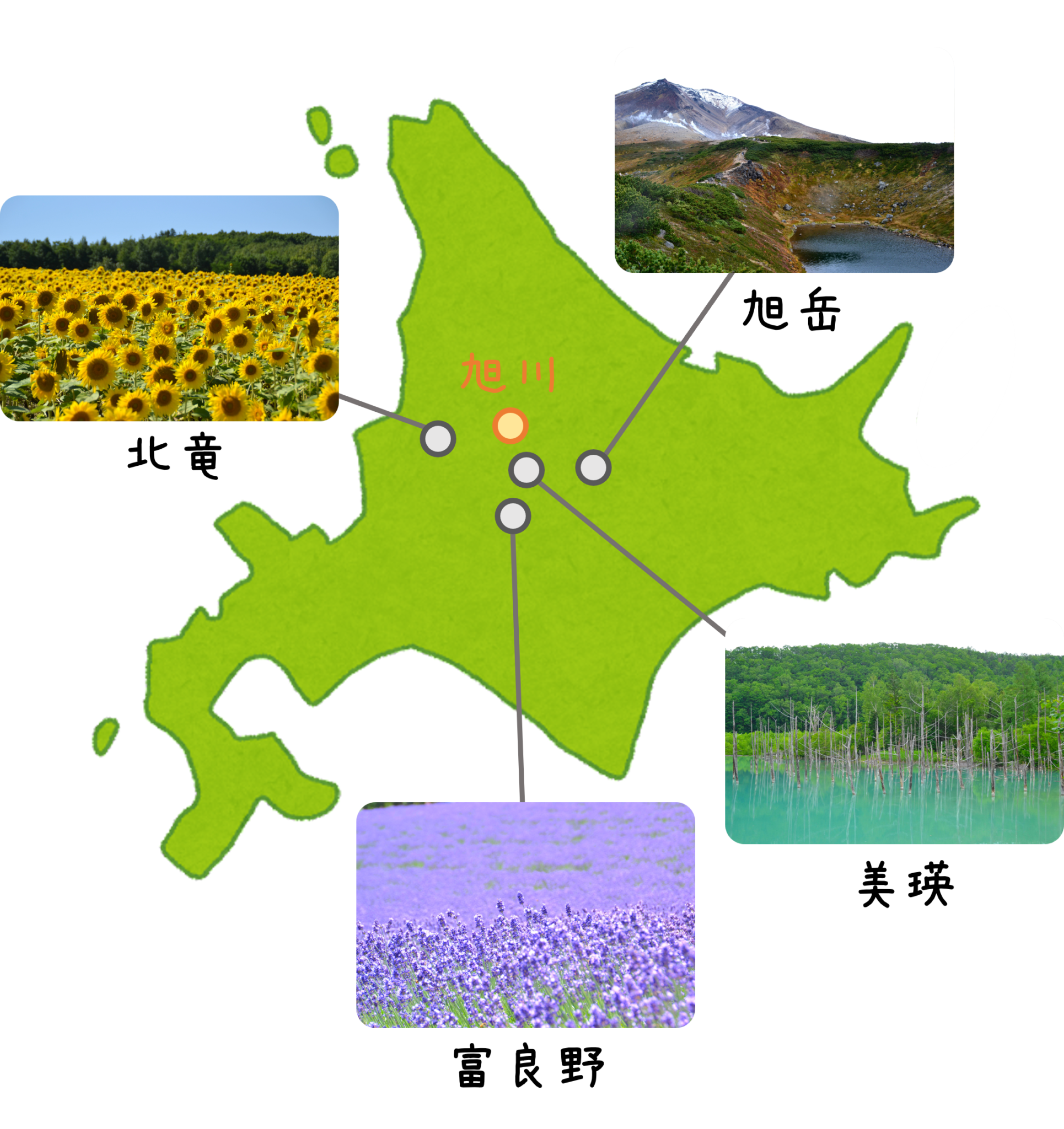 【道民おすすめ】北海道に初めて行くなら札幌・函館・旭川・釧路・帯広どこがいい？ | Kitaiko